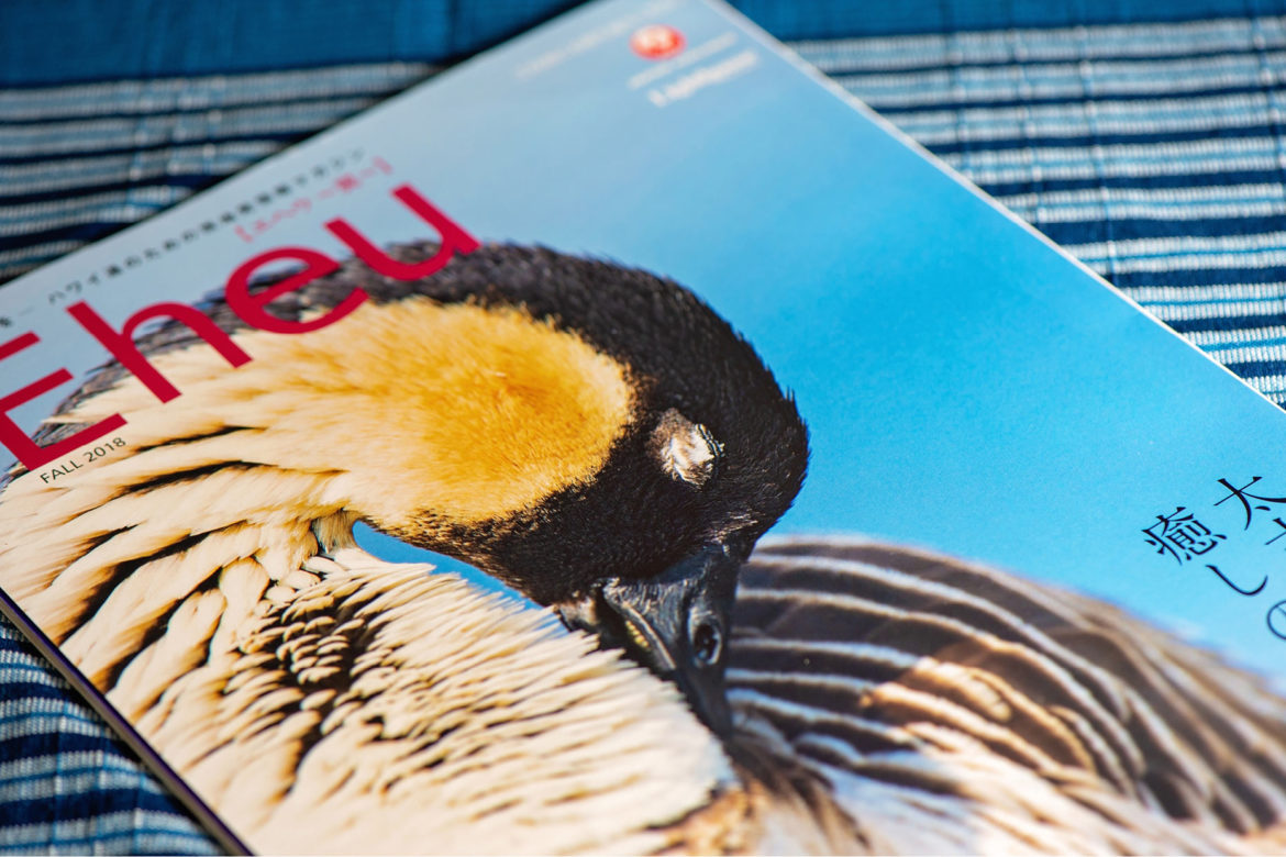 ‘Eheu – Studio Elepaio: Hawaii art, graphic design, illustration ...